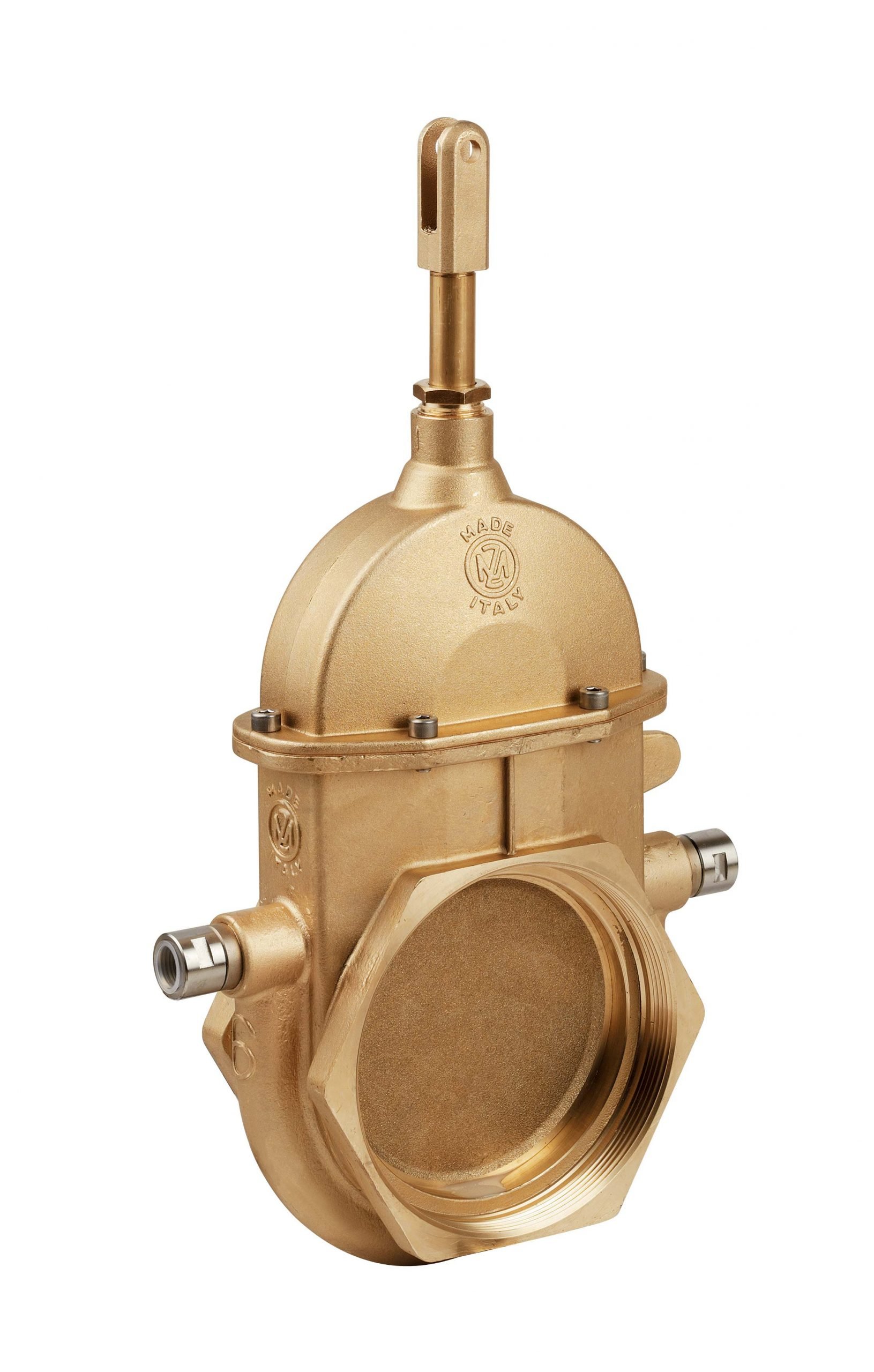 Valves & Accessories - SA Biotech