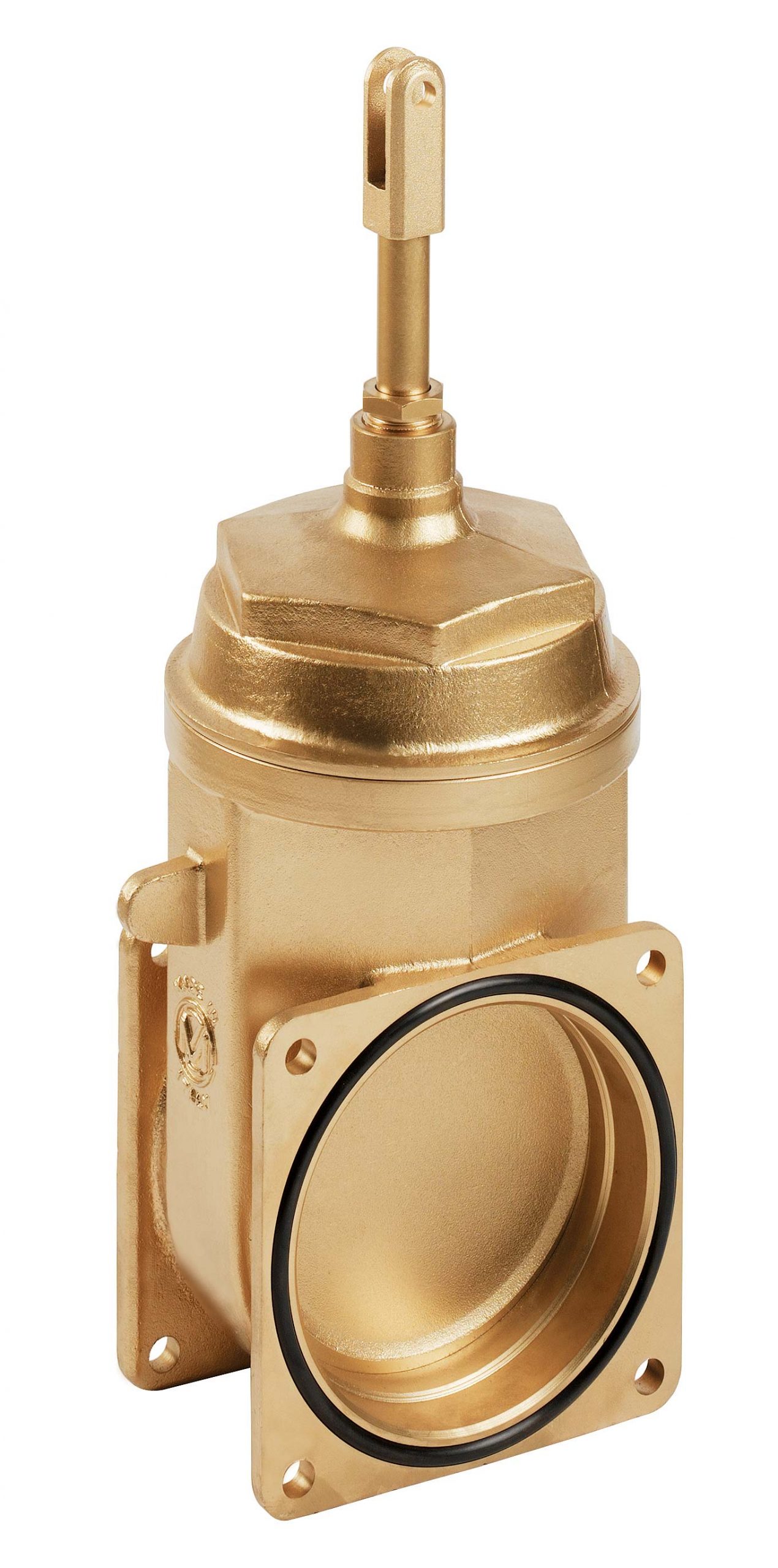 Valves & Accessories - SA Biotech